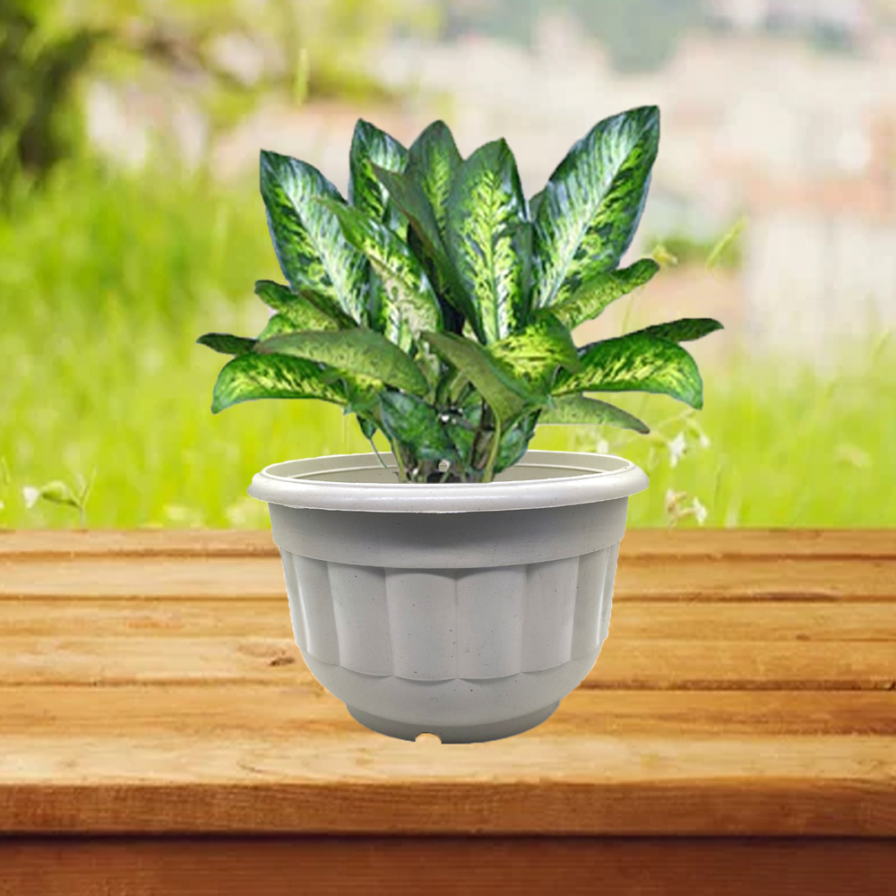 garden flower pot medium 18 . 5 cm x 13 . 5 cm x 11 cm paso para sa halaman