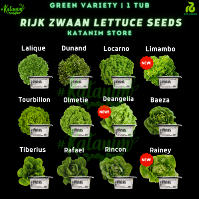 GREEN Variety Lettuce Rijk Zwaan Seeds Collection | 1 TUB RZ Seeds ...