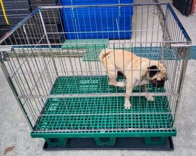 304 Modernized Stainless Collapsible Dog Cage Crib Type Indoor and ...