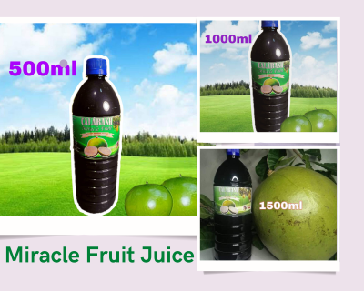 MIRACLE FRUIT/CALABASH JUICE