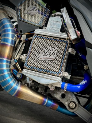 NSA TITANIUM RADIATOR COVER FOR HONDA CLICK VERSION 1 UP TO VERSION 4