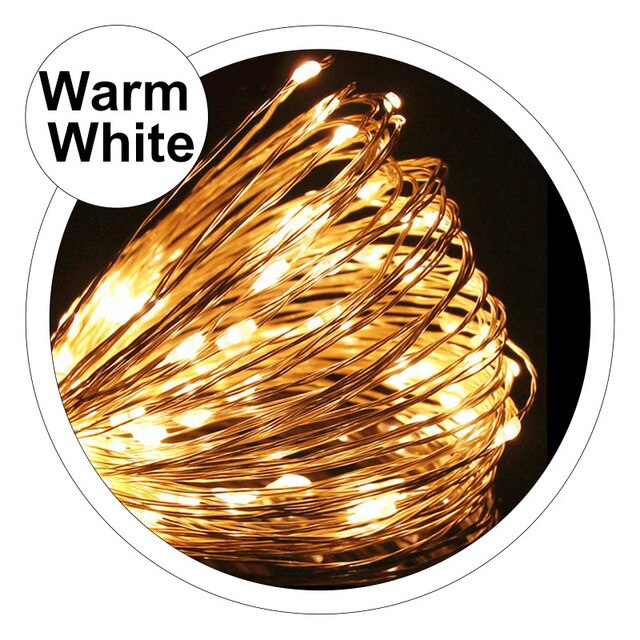 2M 3M 5M 10M 20/30/50/100 LED USB Mini LED Copper Wire String Fairy ...
