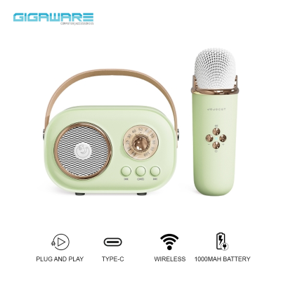 Gigaware C20 Plus Portable Karaoke Wireless Mini Bluetooth Karaoke KTV ...
