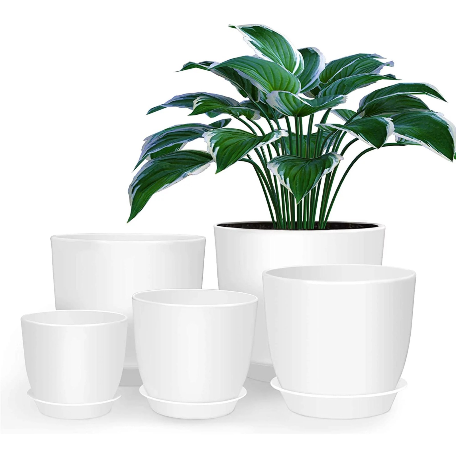 bundle plastic round plant tray pot tray catch plate thick durable ...