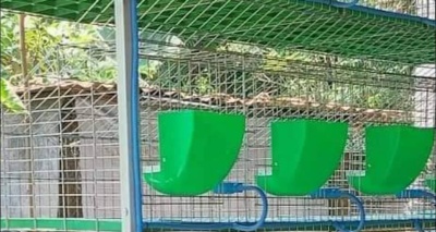 Grow Out Cage IMPORTED, 3 holes 30cm x 50cm CAGE ONLY, No Accessories ...