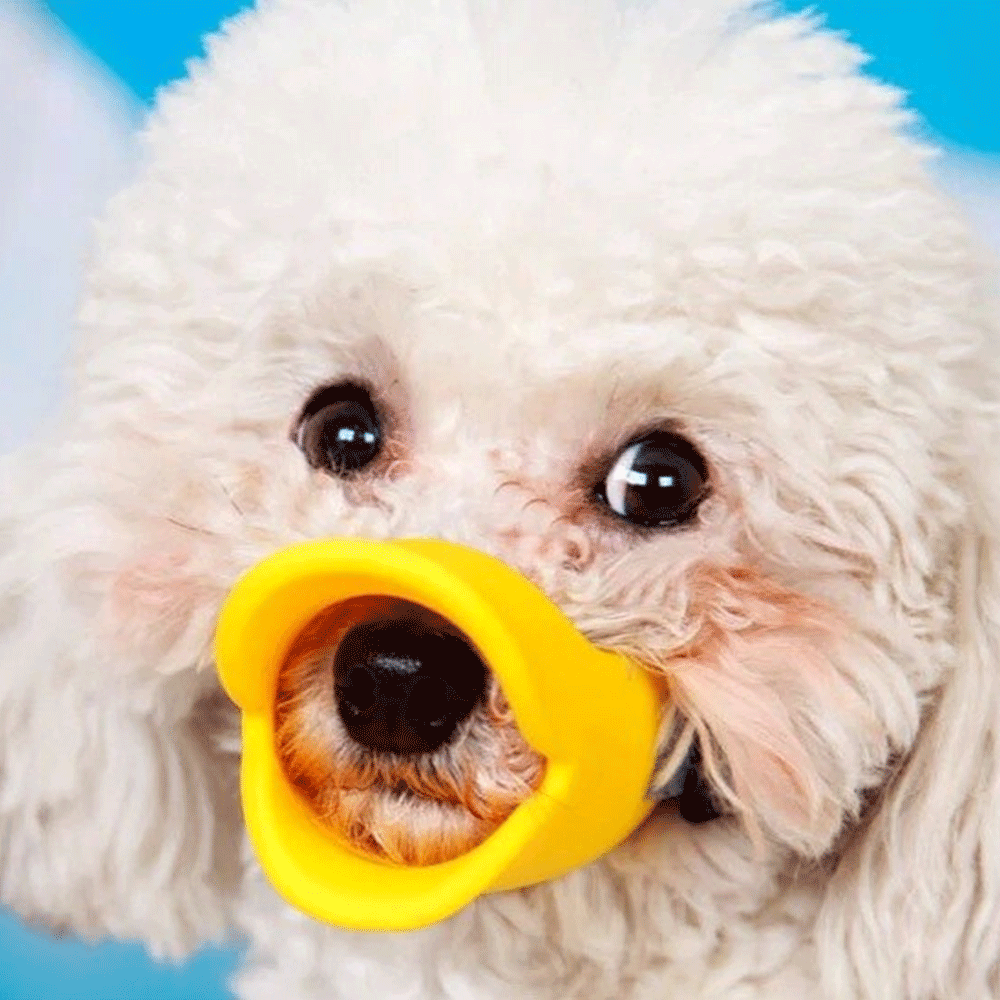 Product Adjustable Dog Muzzle Mask | Anti-Bite & Anti-Bark Silicone ...