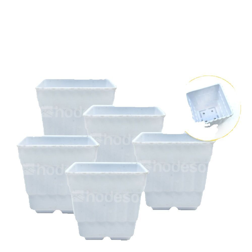 Product 5PCS Flower Pots Corrina Super white Square Succulent Pot